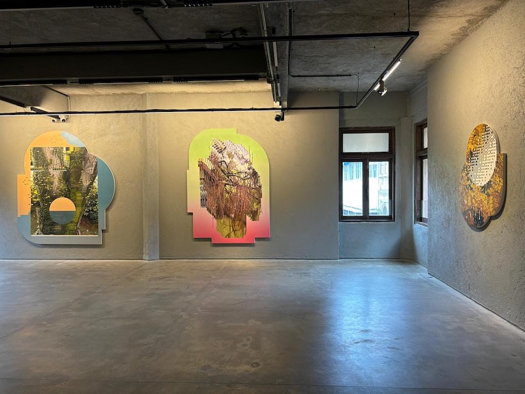 Witnessing Transitions: Thukral & Tagra on the Interplay of Nature ...